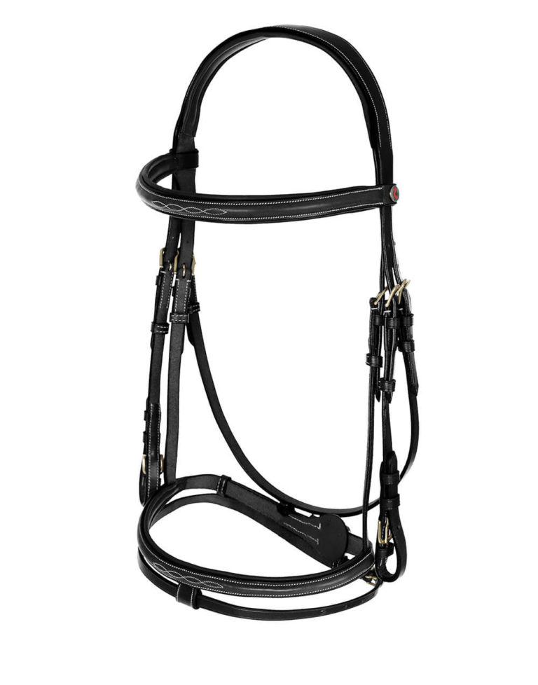 Bridles for Horses: Selecting the Right Type