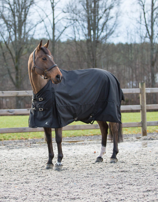 The Best Horse Rugs for Equine Safety and Comfort