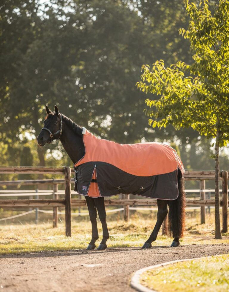 Horze Online Equestrian Shop: Get the Best Horse Gear - Horze